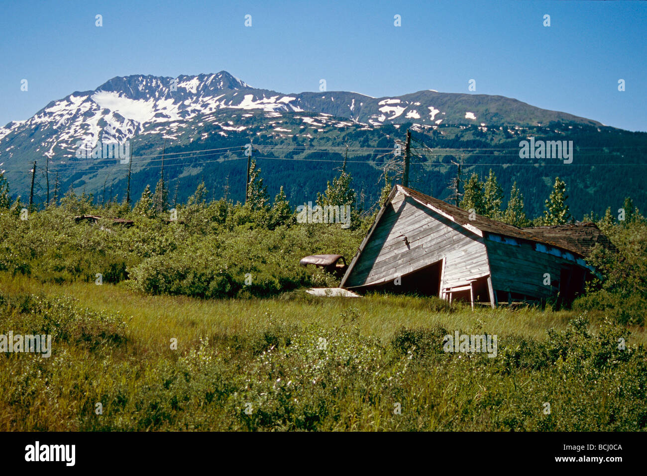 Destroyed Cabin from 1964 Earthquake Portage Valley AK SC Summer w ...