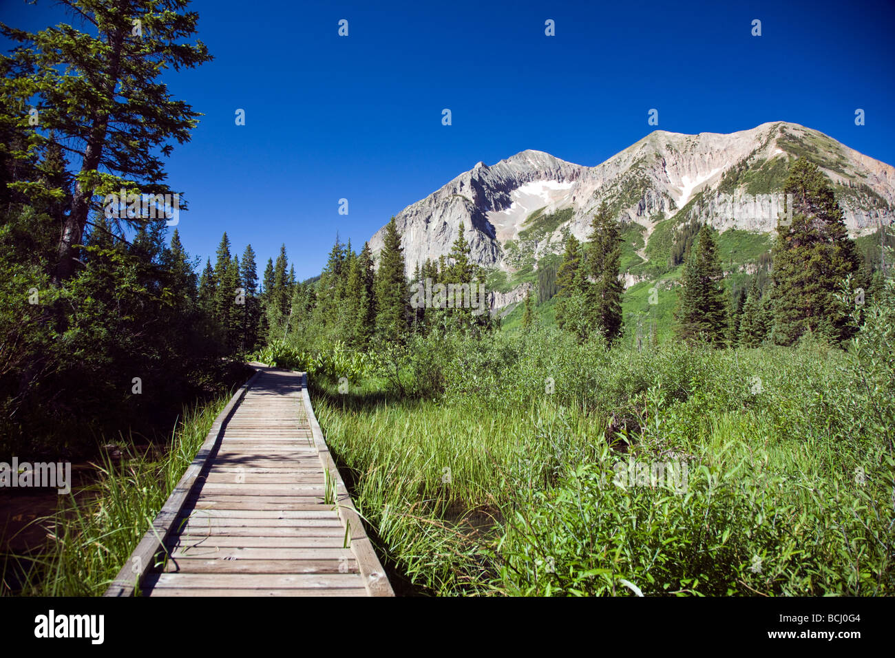 Trailriders 401 Trail bridge Crested Butte Colorado Stock Photo - Alamy