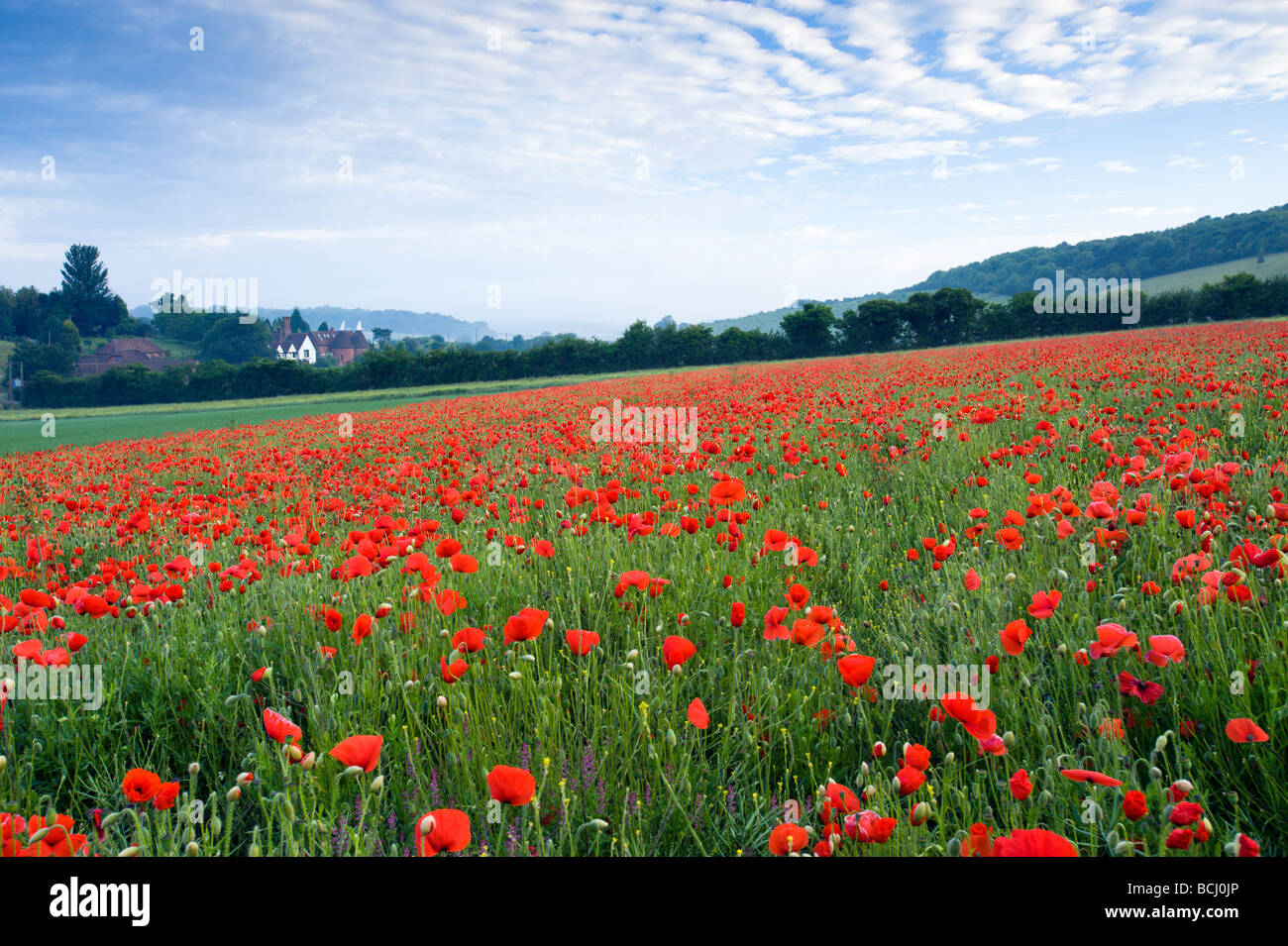 archetypal kentish scene Stock Photo - Alamy
