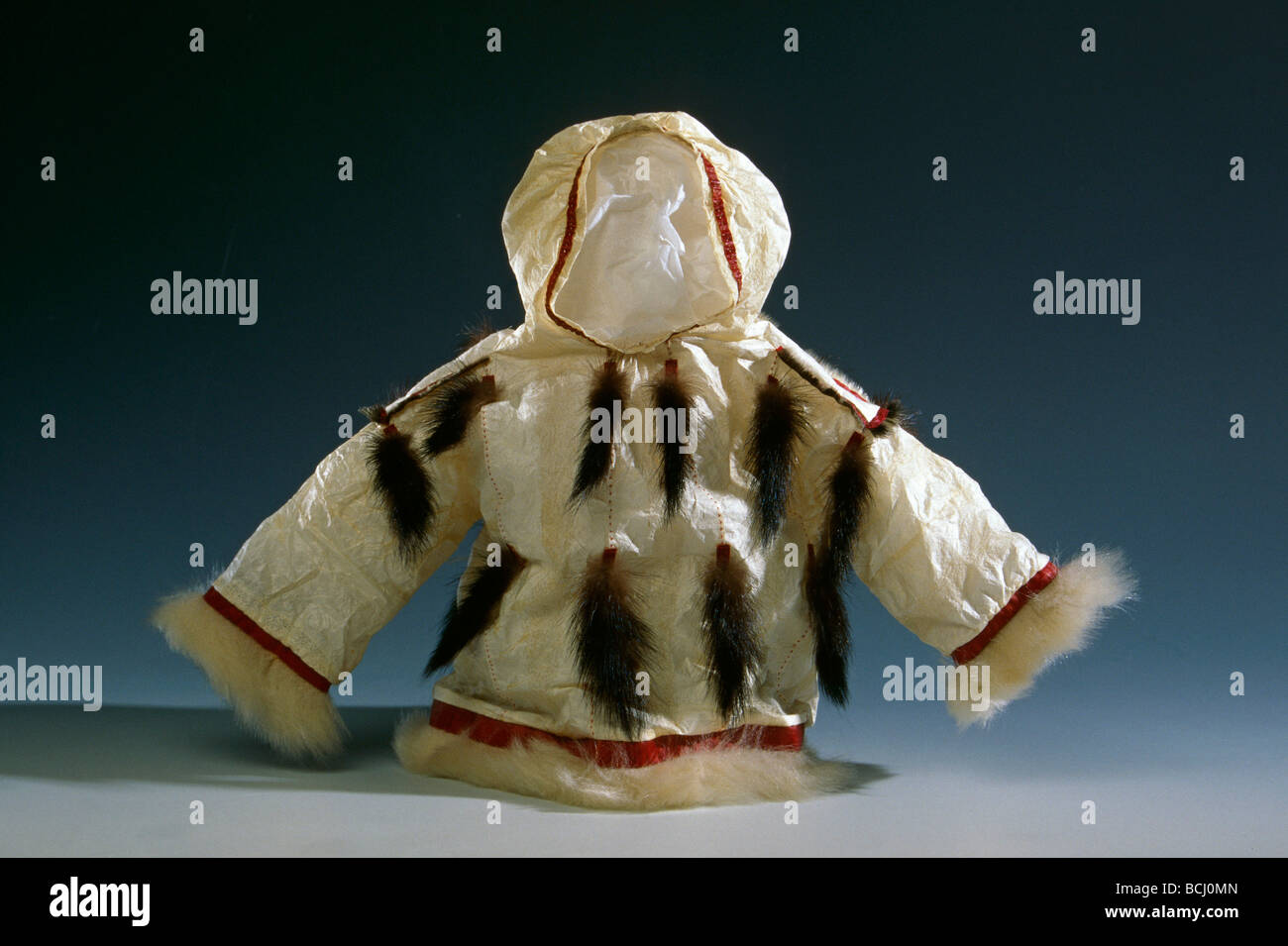Polar Bear Cub Intestine Baby Seal Trim Baby Parka Studio Portrait ...