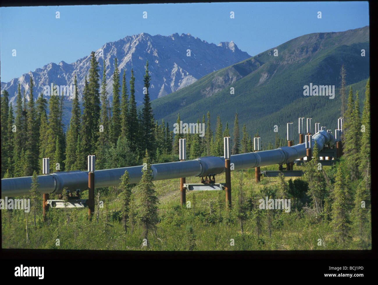 Oil pipeline arctic alaska pipe hi-res stock photography and images - Alamy