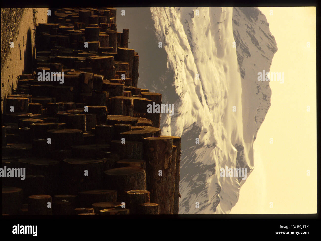 Raw Timber Logs Piled at Dockside Chugach Mts. Seward Stock Photo - Alamy