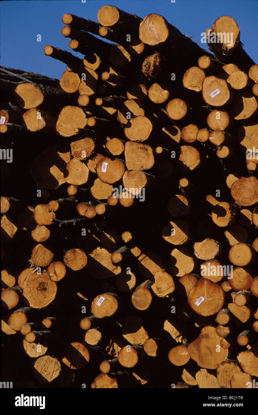 Alaska spruce log hi-res stock photography and images - Alamy