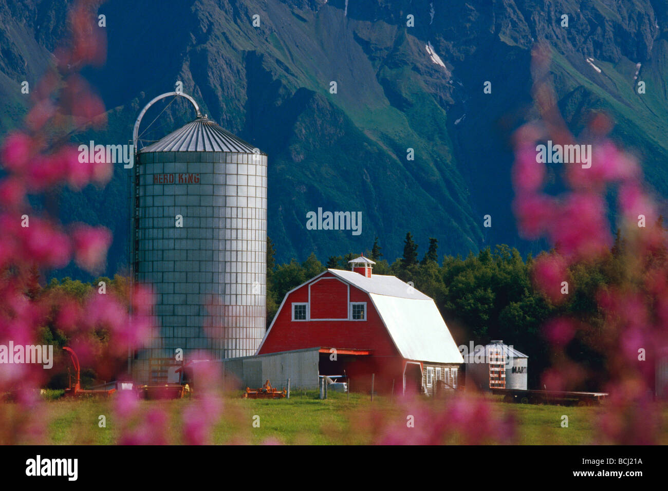 Matanuska farm hi-res stock photography and images - Alamy
