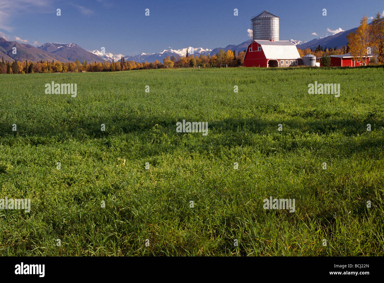 Alaska matanuska mountain farm hi-res stock photography and images - Alamy