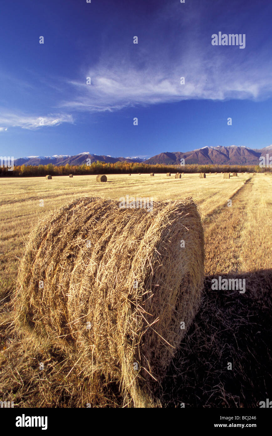 Alaska matanuska mountain farm hi-res stock photography and images - Alamy