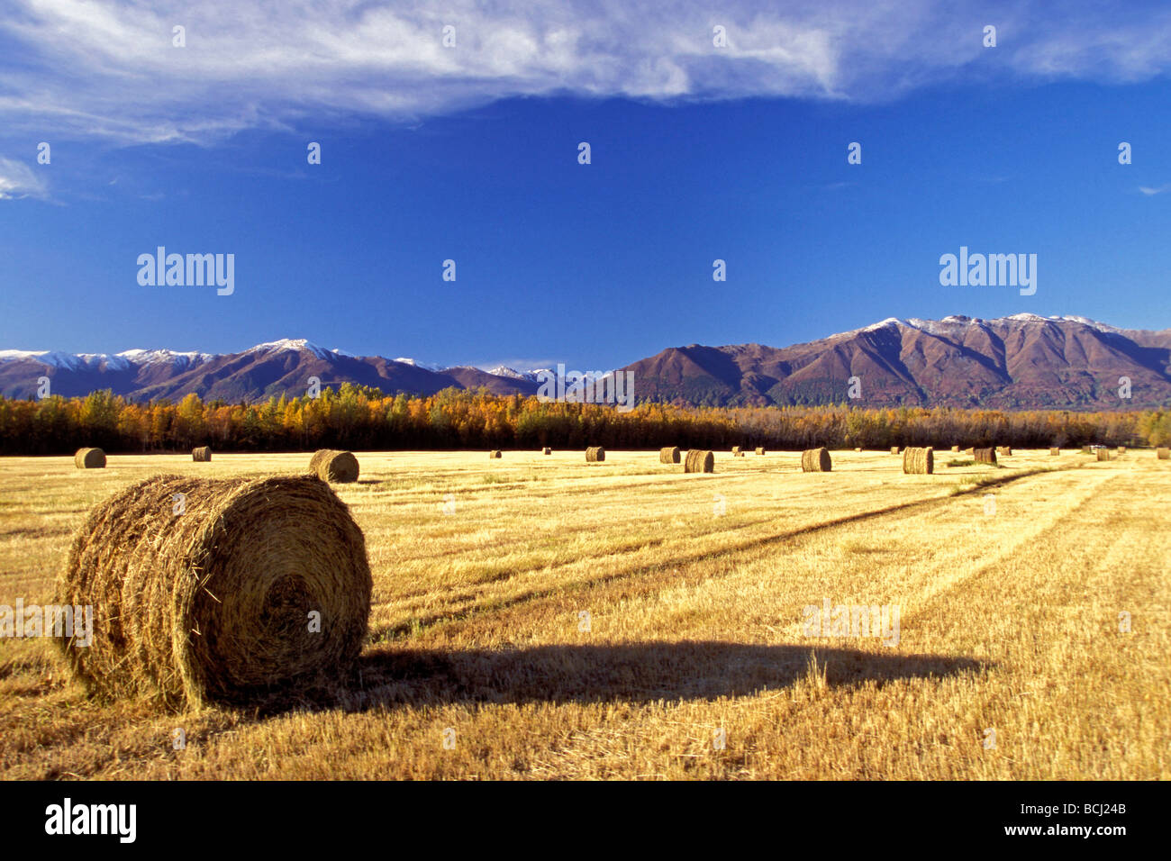 Alaska matanuska mountain farm hi-res stock photography and images - Alamy