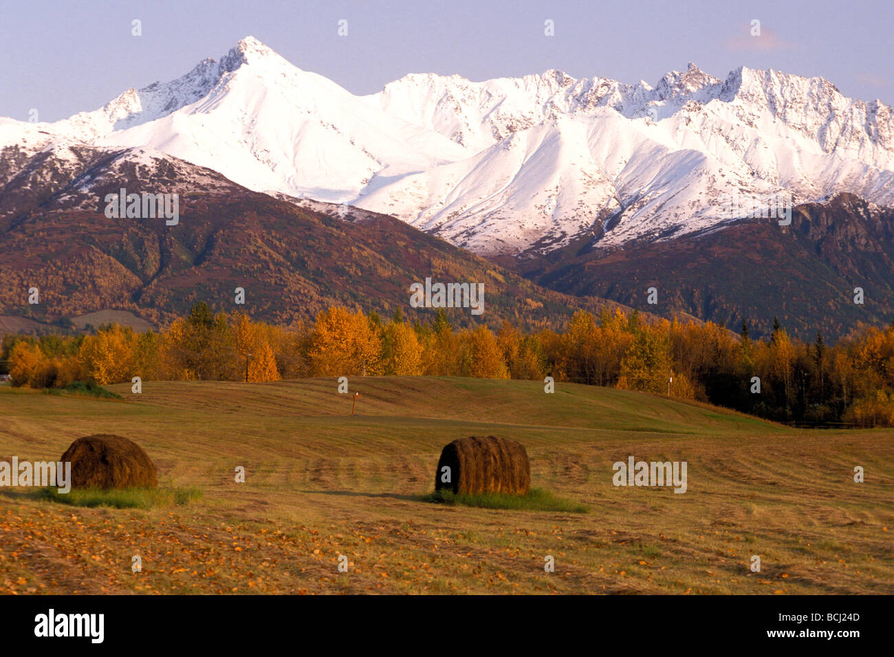 Alaska matanuska mountain farm hi-res stock photography and images - Alamy