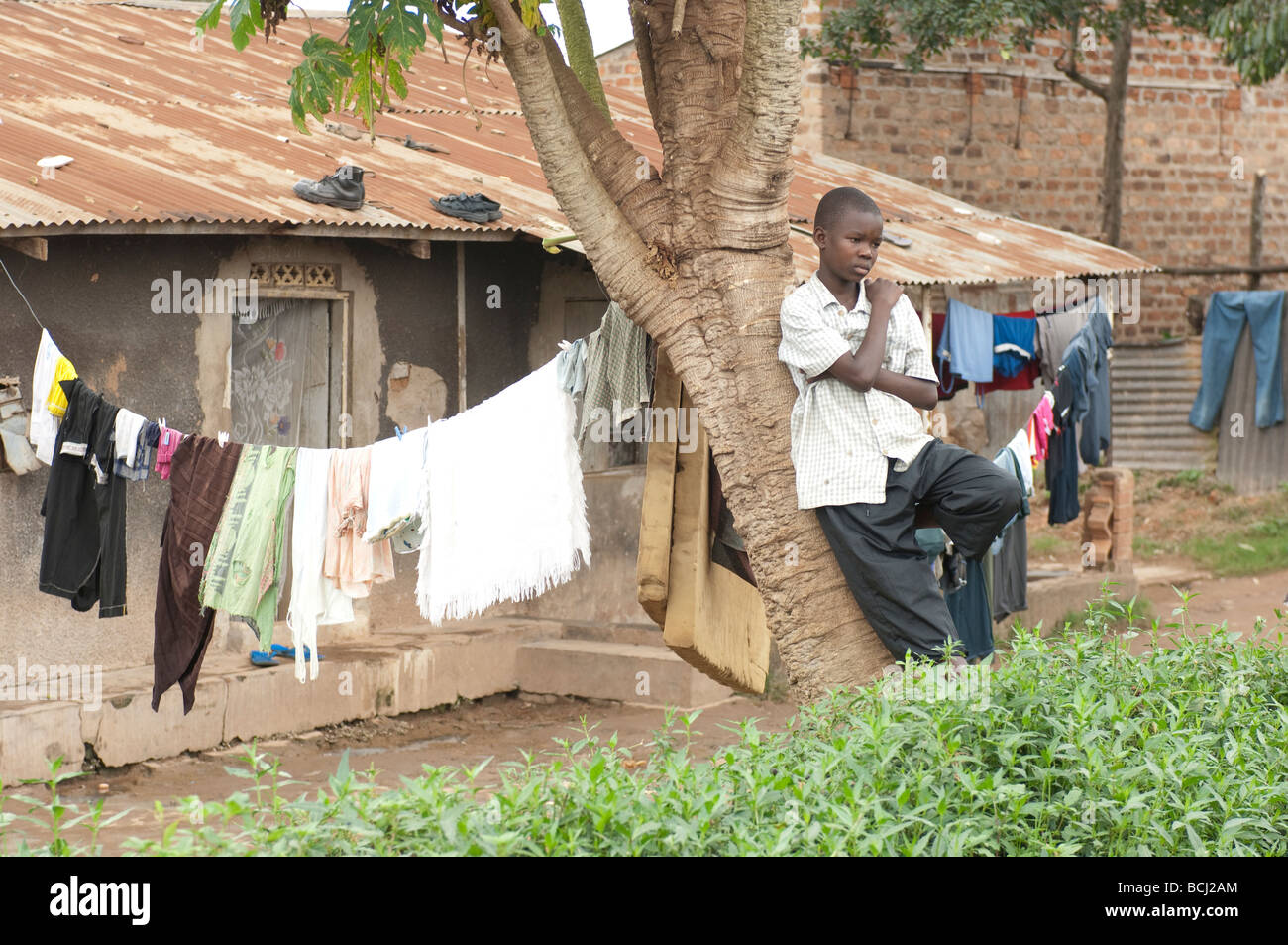 youth leaning against tree in african slum Stock Photo - Alamy