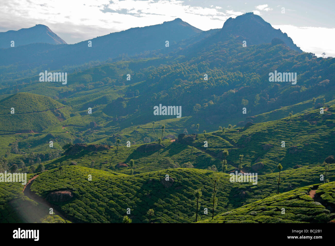 Western ghats india hi-res stock photography and images - Alamy