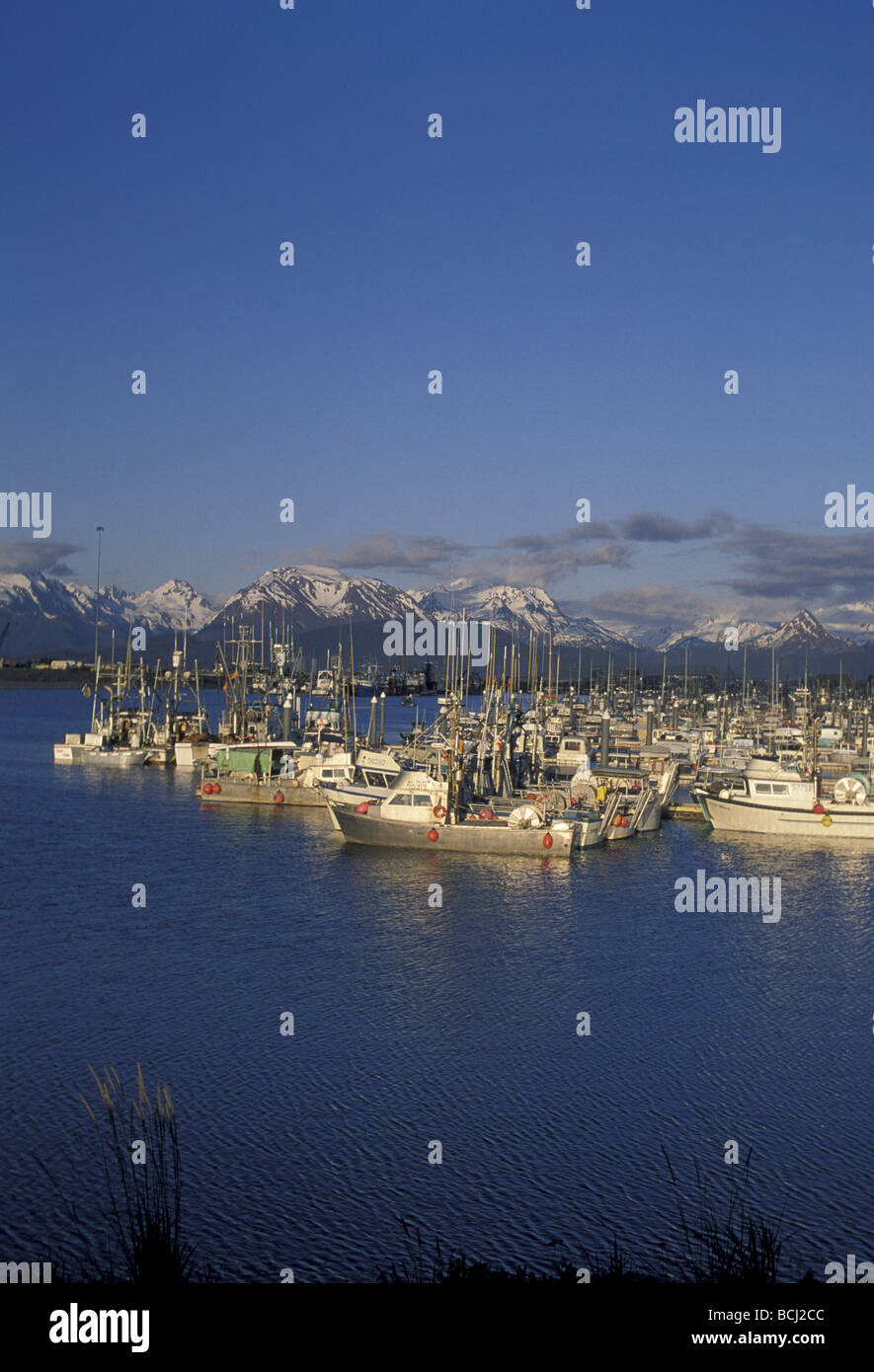 Small Boat Harbor Homer Spit KP Alaska Summer Stock Photo - Alamy