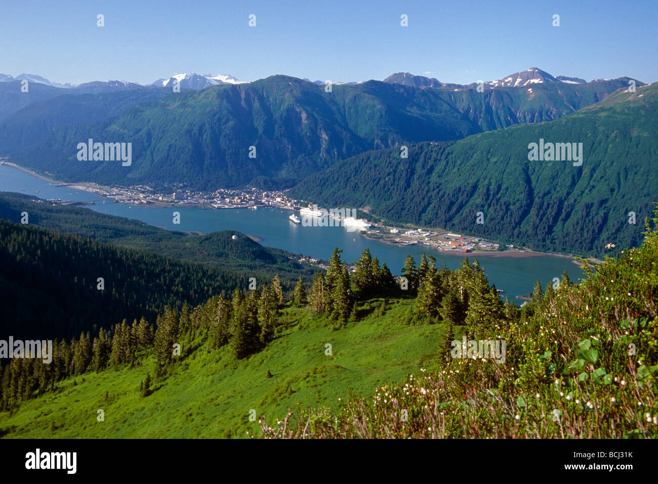 Juneau w/Cruiseships from Mt Jumbo Tongass NF SE AK Summer Stock Photo ...