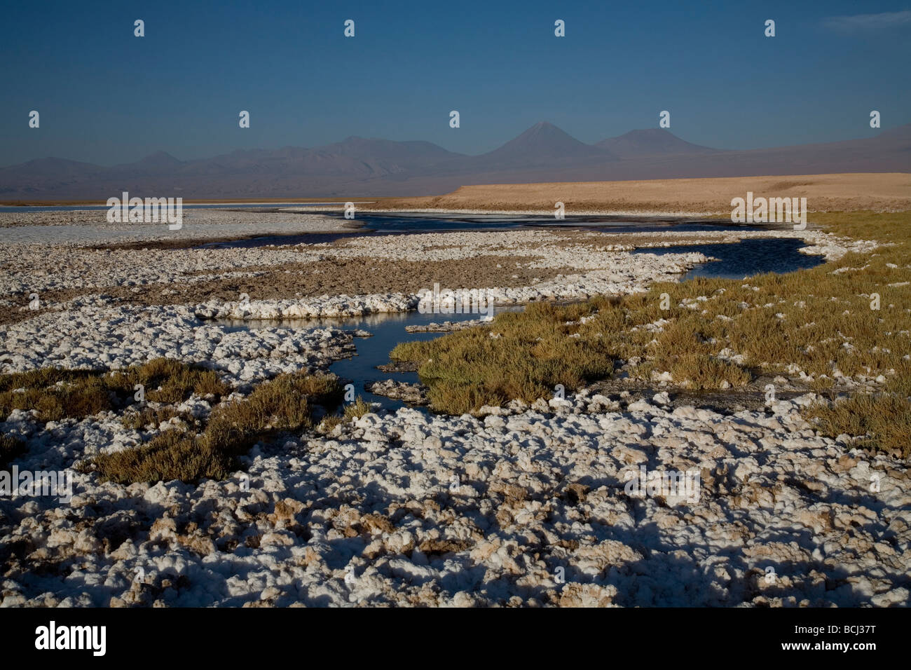 Cejar Ponds Atacama Salt Lake Atacama Desert Chile Stock Photo - Alamy