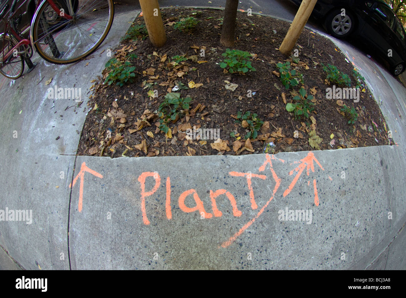 Urban tree planting hi-res stock photography and images - Alamy
