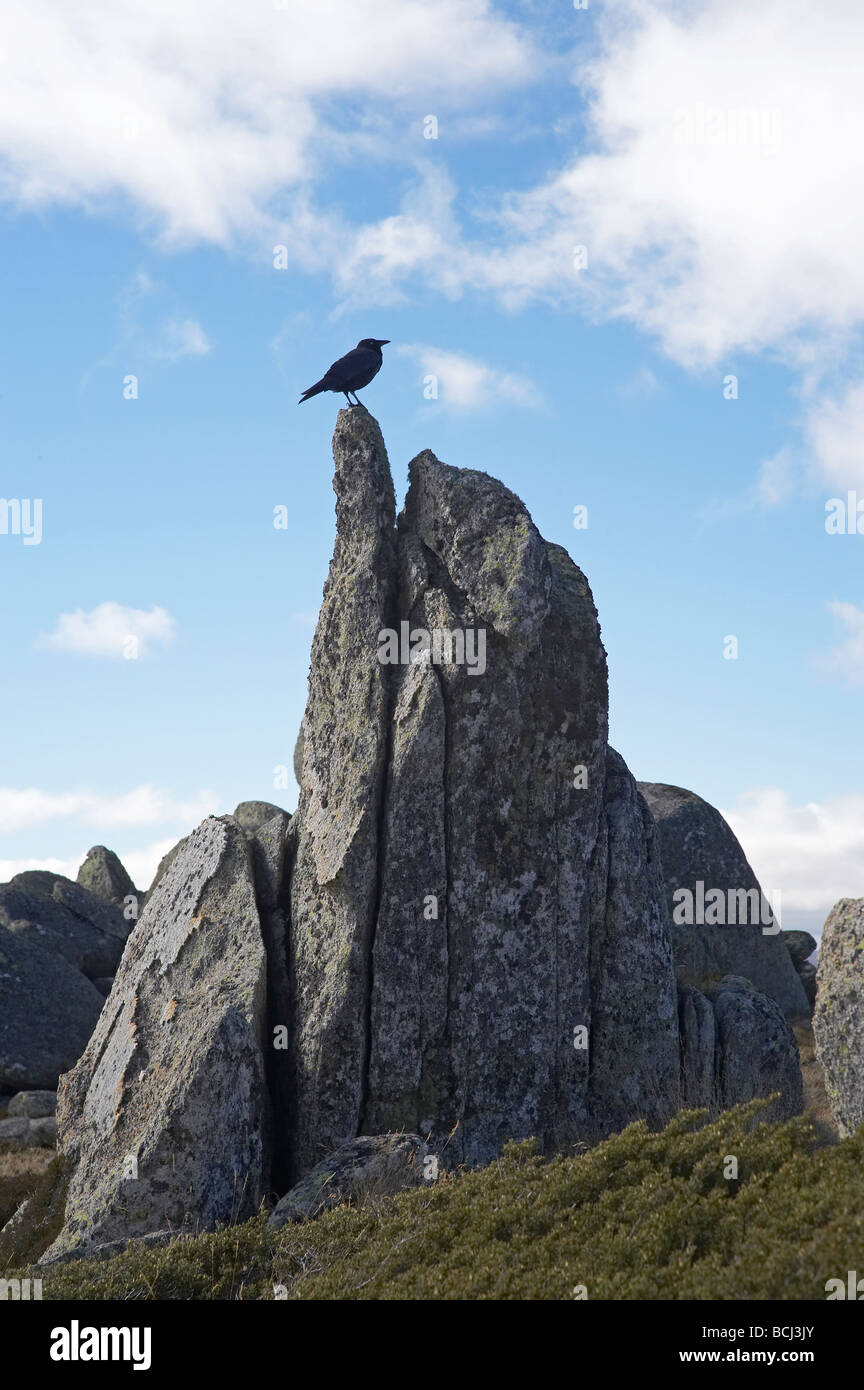 Rock outcrop outcrops hi-res stock photography and images - Alamy