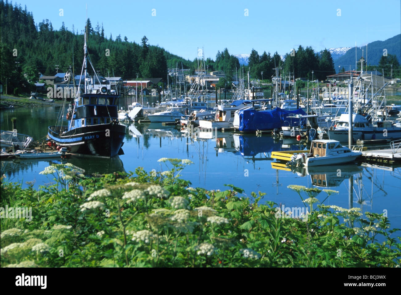 Boat Harbor/nWrangell Alaska SE Summer Stock Photo - Alamy