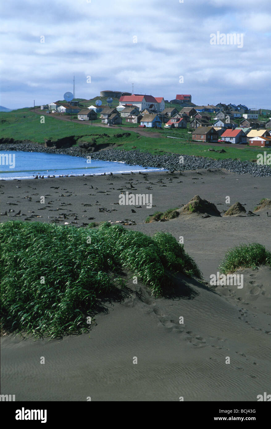 View Of St Paul From Beach St Paul Island SW AK Summer Stock Photo - Alamy