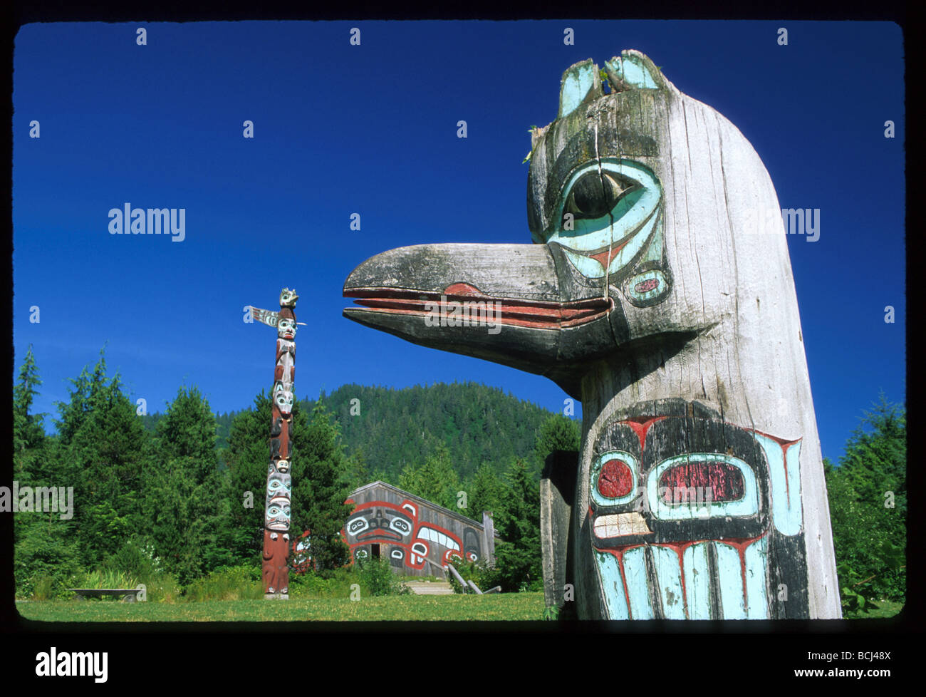 Totems in Saxman Totem Park Ketchikan Southeast AK summer portrait ...