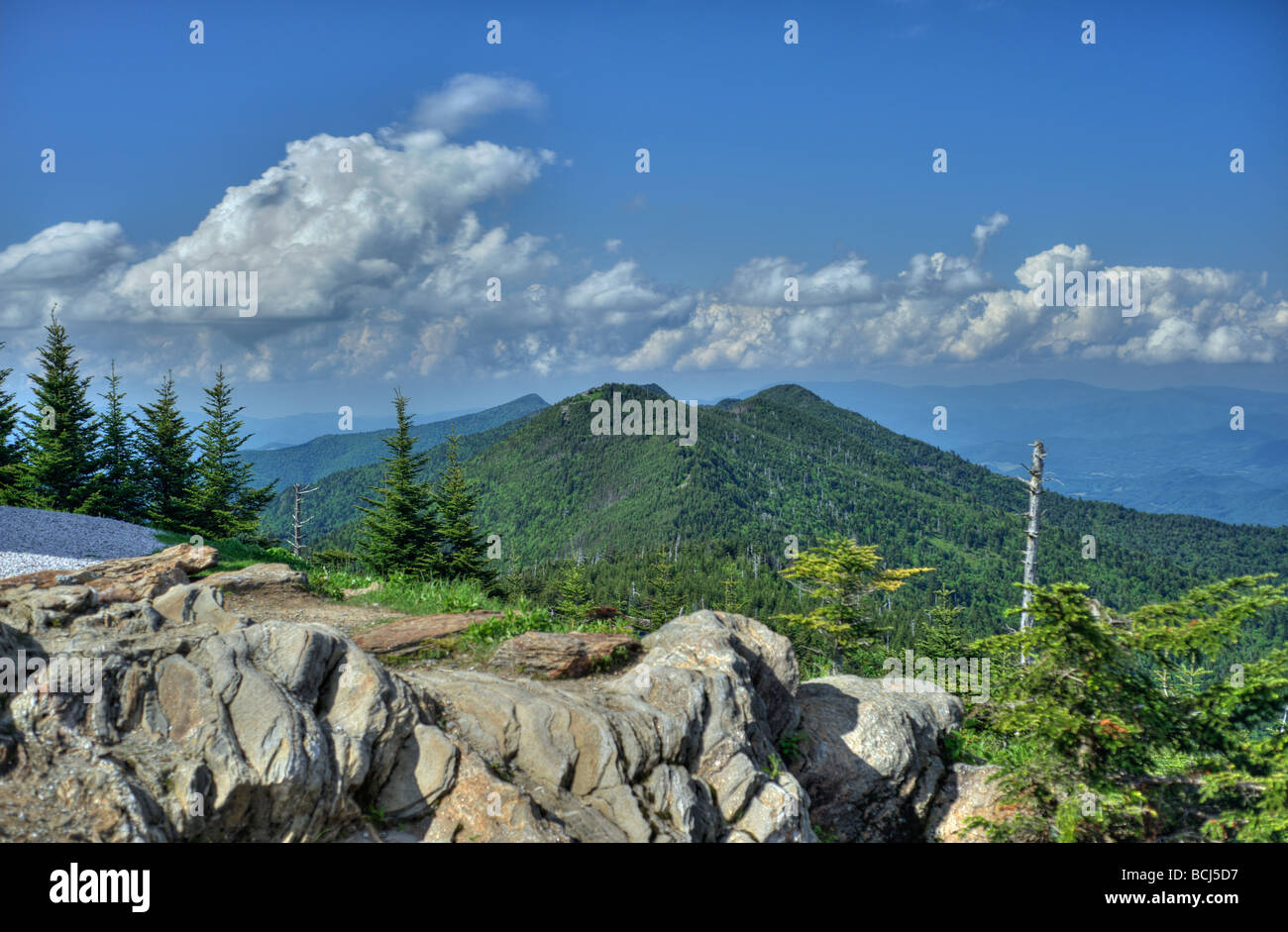 Mount Mitchell Summit