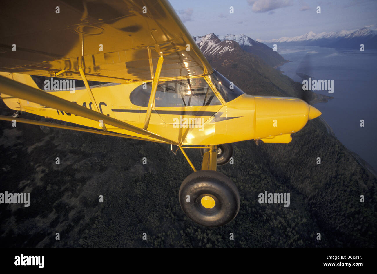 Piper Super Cub Bush Plane High Resolution Stock Photography and Images ...