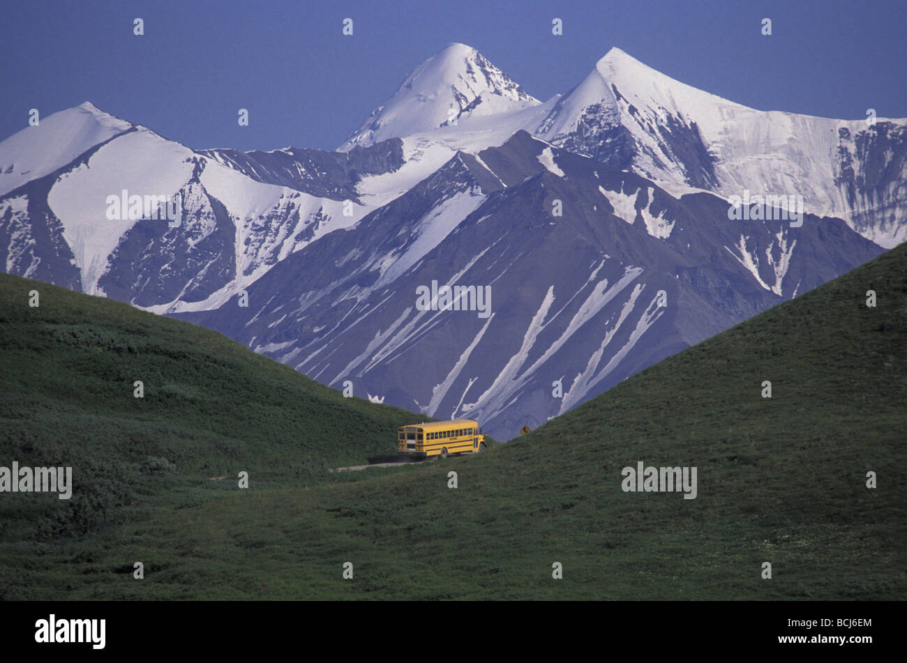 Alaska denali np tour bus hi-res stock photography and images - Alamy