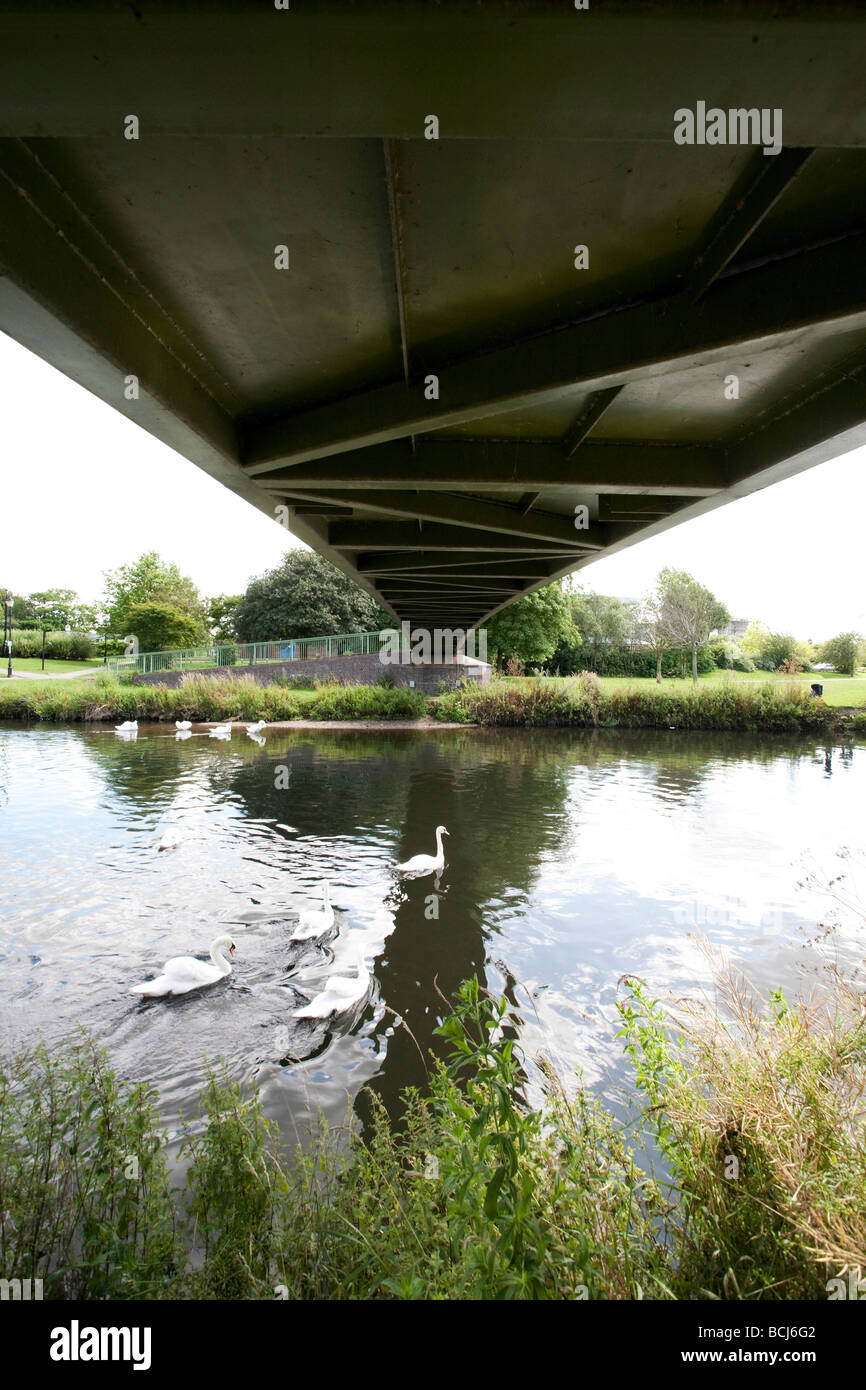 under a footbridge across a river with swans swimming Stock Photo - Alamy