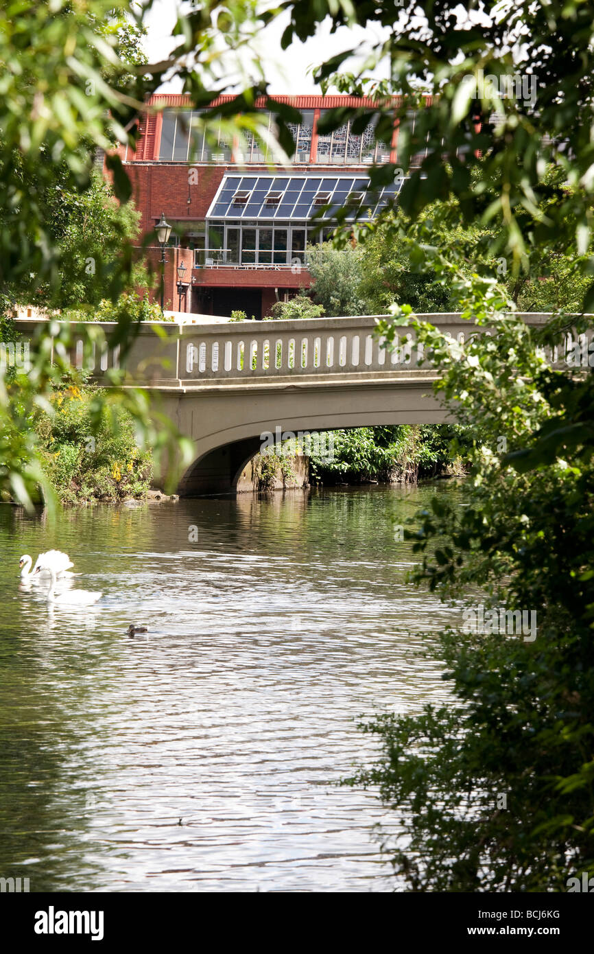 white bridge across a calm river in a town park Stock Photo - Alamy
