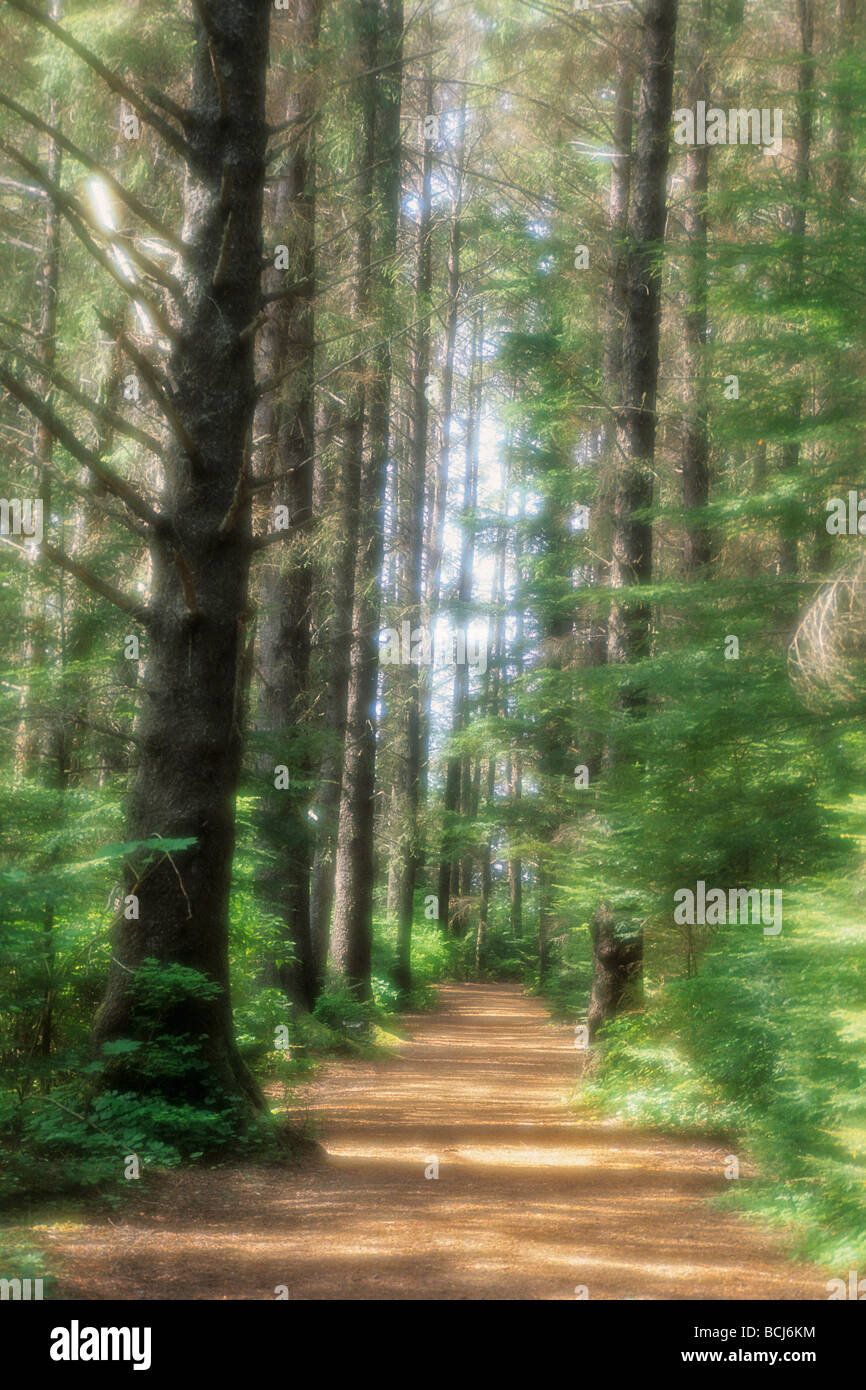 Sitka alaska hiking hi-res stock photography and images - Alamy