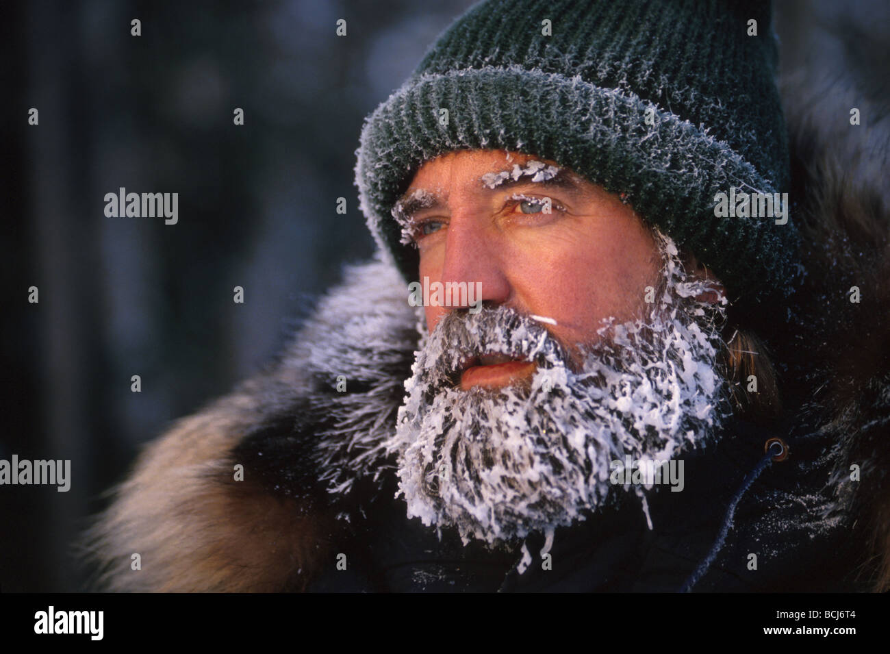 Frosted Beard High Resolution Stock Photography and Images - Alamy