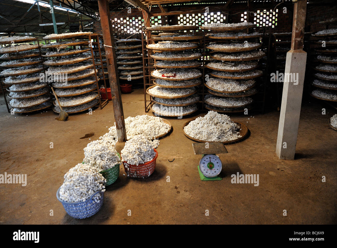 Cocoon silk processing hi-res stock photography and images - Alamy