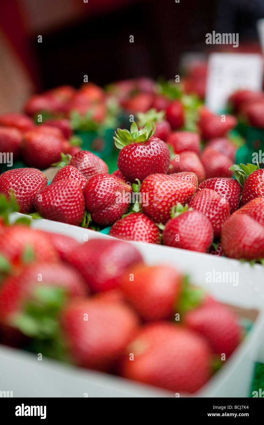 Display of strawberries hi-res stock photography and images - Alamy