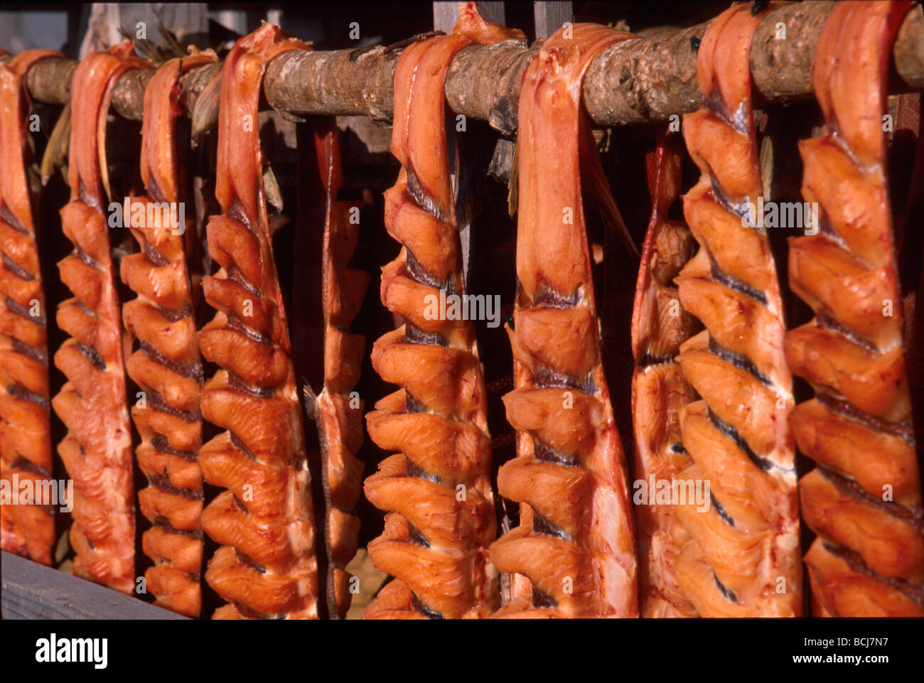 Salmon Hang Drying Bristol Bay Region Southwest Alaska Stock Photo - Alamy