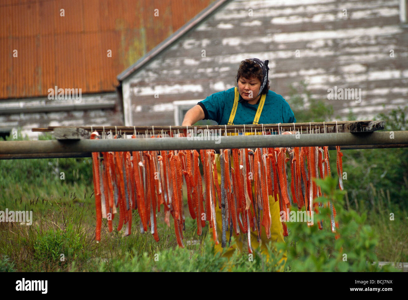 Native Woman Drying Salmon Graveyard Pt Bristol Bay SW AK Stock Photo ...