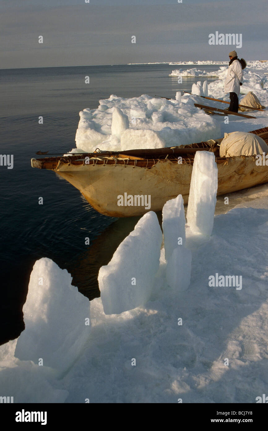 Native Hunter w/ Skin Boat Looking for Whales Barrow AK Stock Photo - Alamy