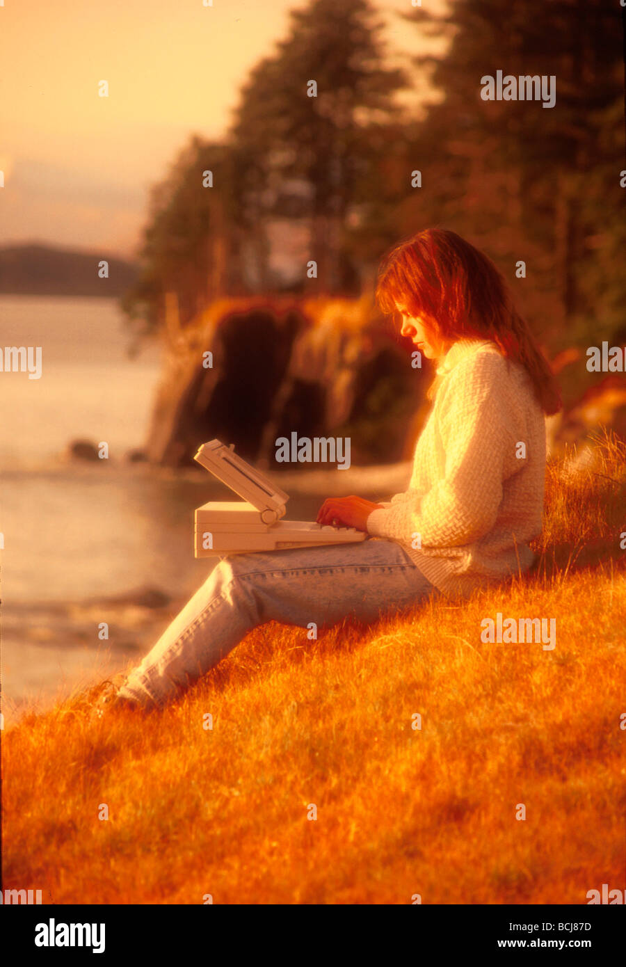 Woman uses laptop computer Spruce Cape Kodiak SW Alaska Stock Photo - Alamy