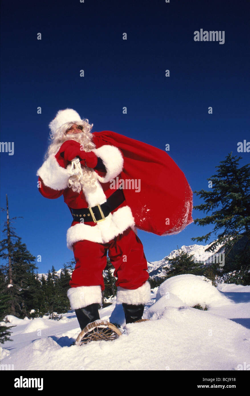 Snowshoe ornament hi-res stock photography and images - Alamy