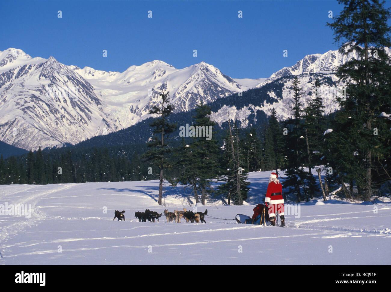 Alpine trail sled dog race hi-res stock photography and images - Alamy