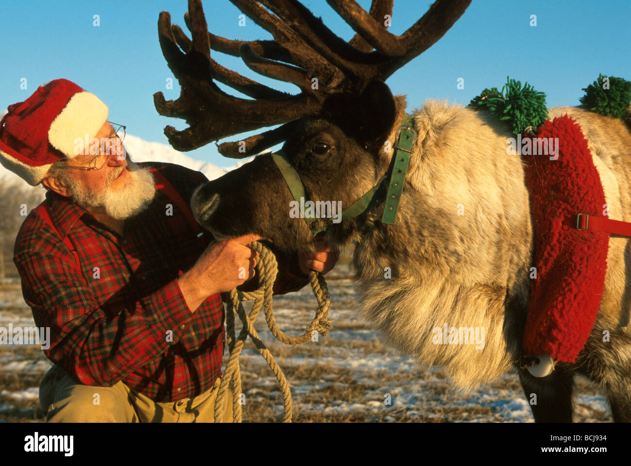 Santa claus feeding reindeer hi-res stock photography and images - Alamy
