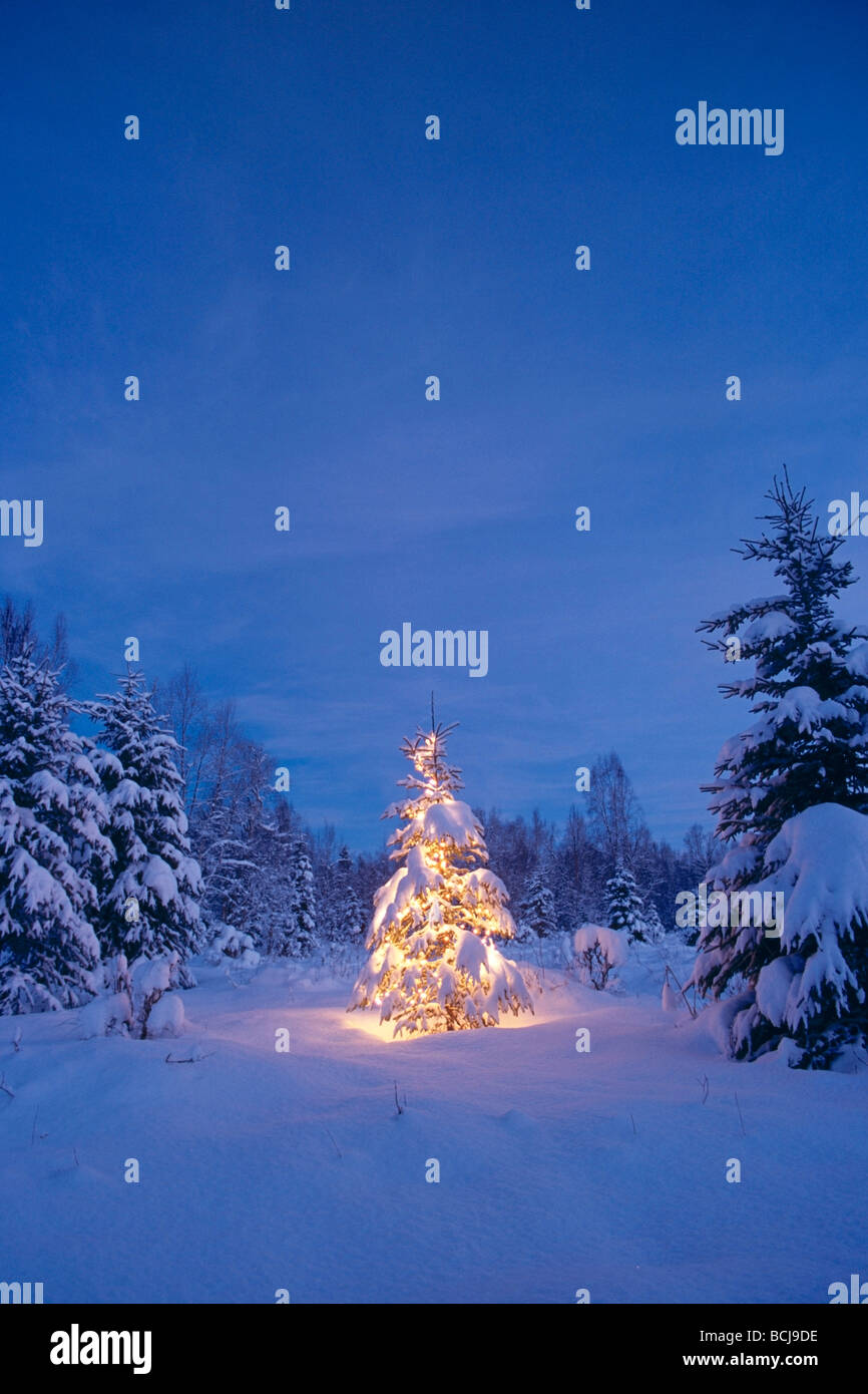 Lit Christmas Tree at Twilight SC Alaska Winter Stock Photo - Alamy