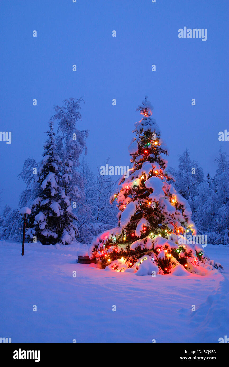 Anchorage digital High Resolution Stock Photography and Images - Alamy