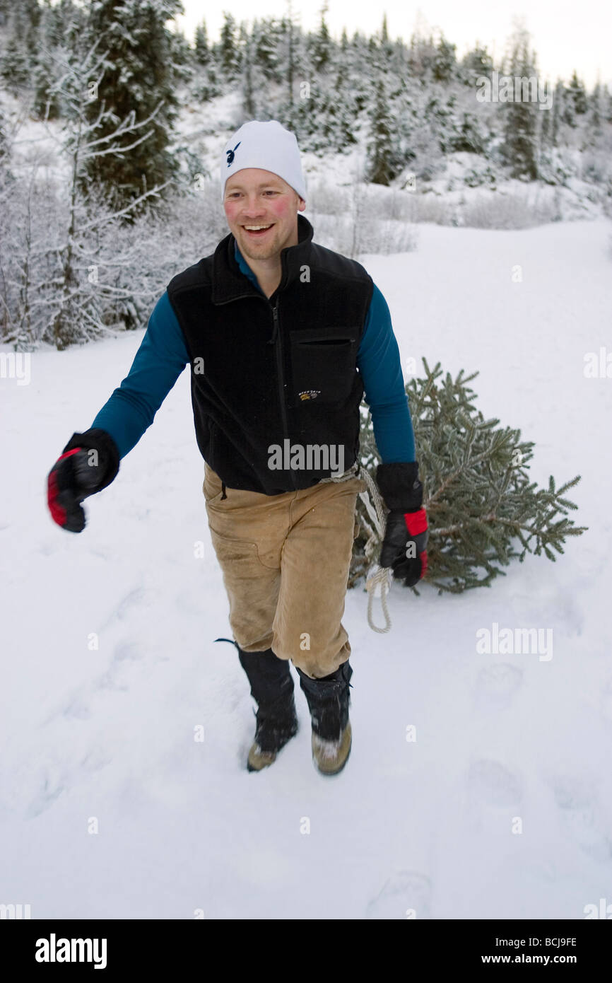Person pulling christmas tree hi-res stock photography and images - Alamy