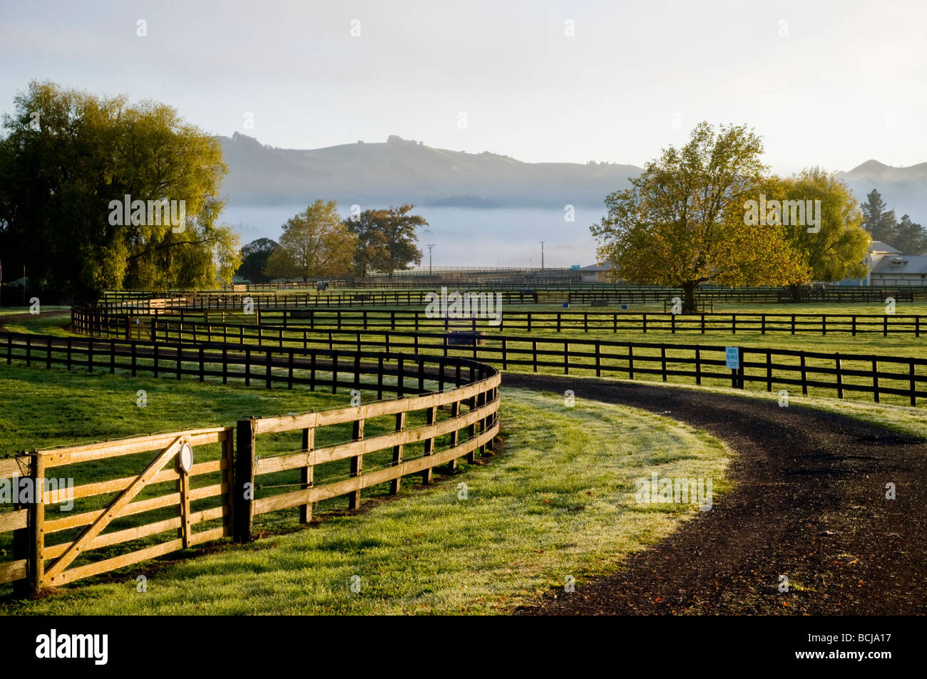 Bending wooden fence with morning sunlight and mist Stock Photo - Alamy