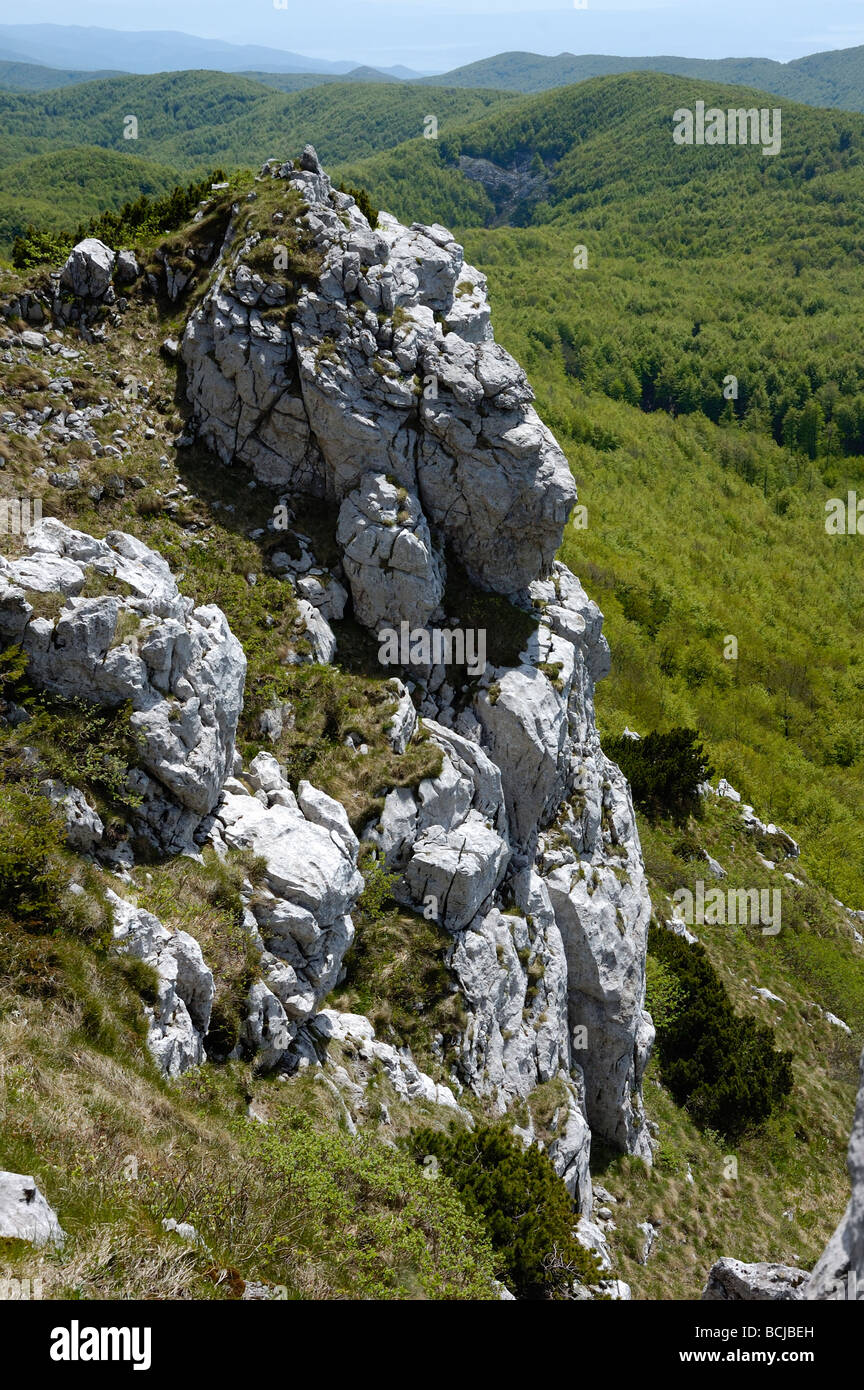 Cliff forest hi-res stock photography and images - Alamy