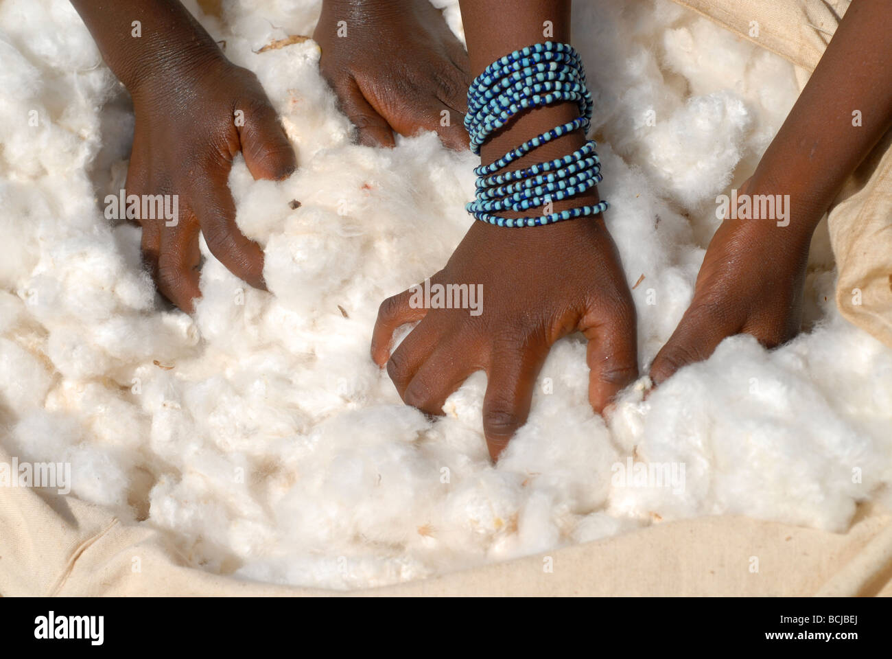 West-africa, Mali, children hands in harvested cotton Stock Photo - Alamy