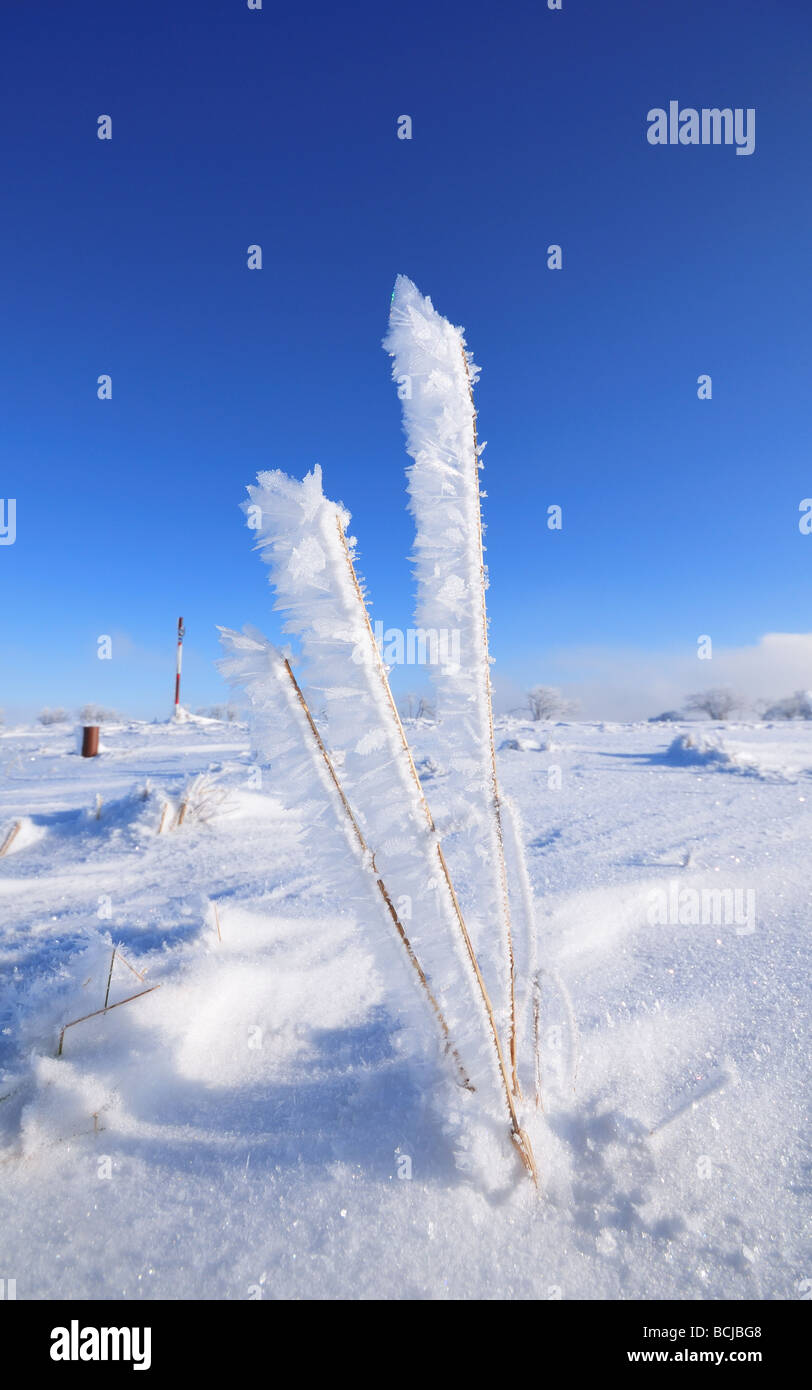 Feather like ice crystals hi-res stock photography and images - Alamy