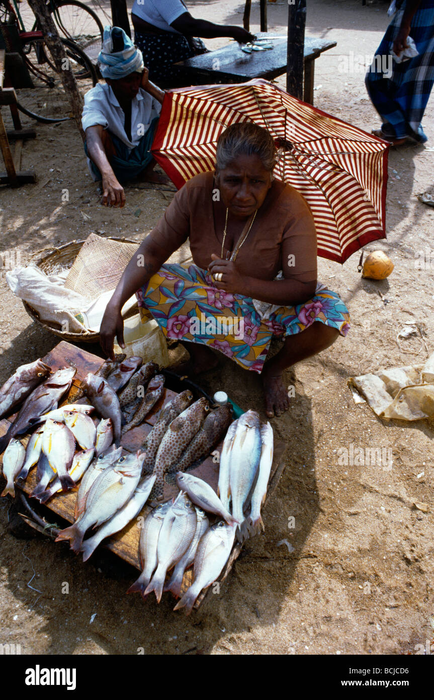 Fisherman Selling Fish On Beach Stock Photos & Fisherman Selling Fish ...