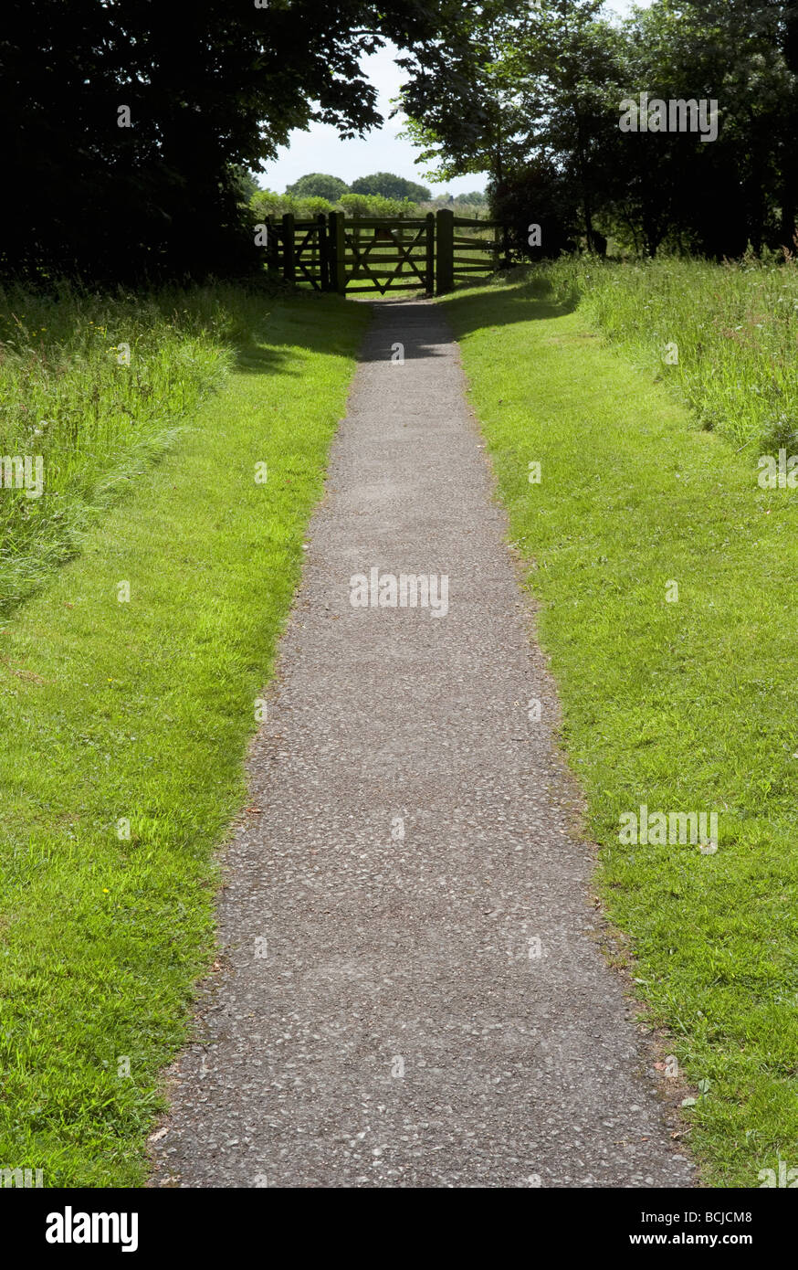 Forest nature bridleway path track hi-res stock photography and images ...