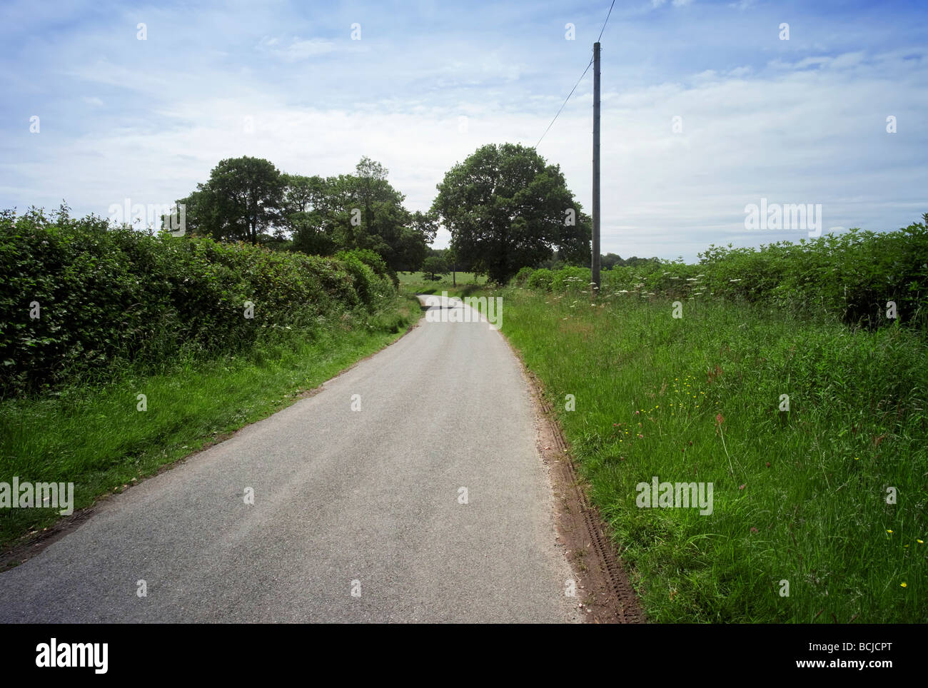 country lane on an estate warwickshire midlands england uk Stock Photo ...