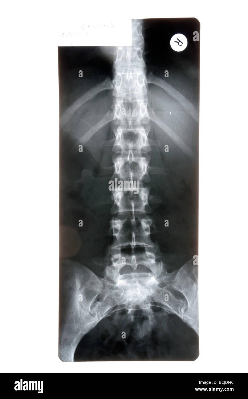 Lower part body Cut Out Stock Images & Pictures - Alamy