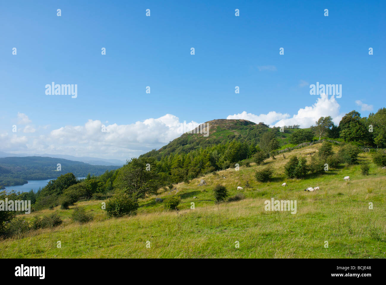 Gummers How, a hill overlooking the southern tip of Lake Windermere ...